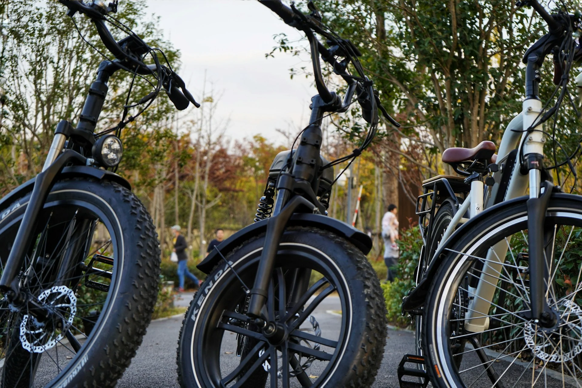 The Top Electric Bikes of 2024: Your Ultimate Guide